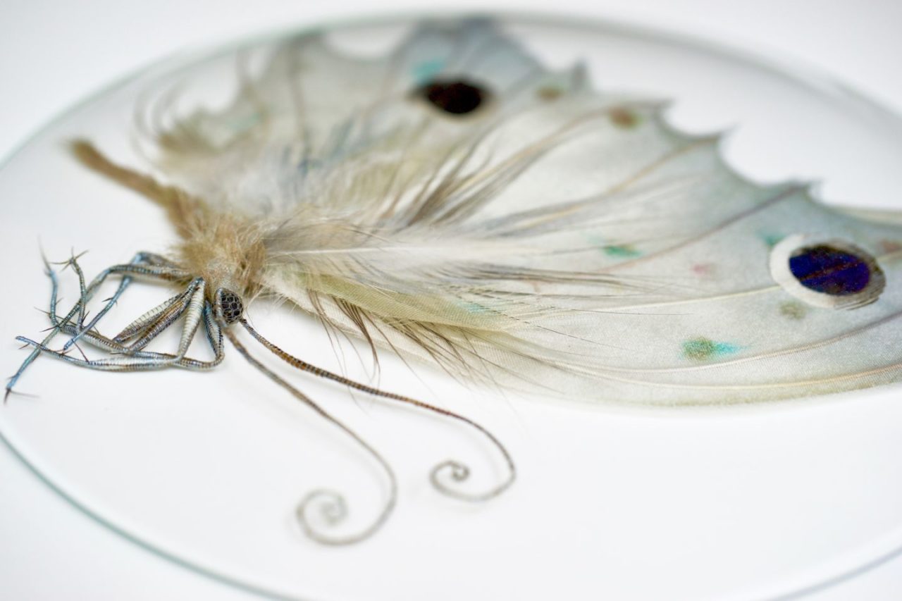 About - Bridget Bailey - Textile Artist